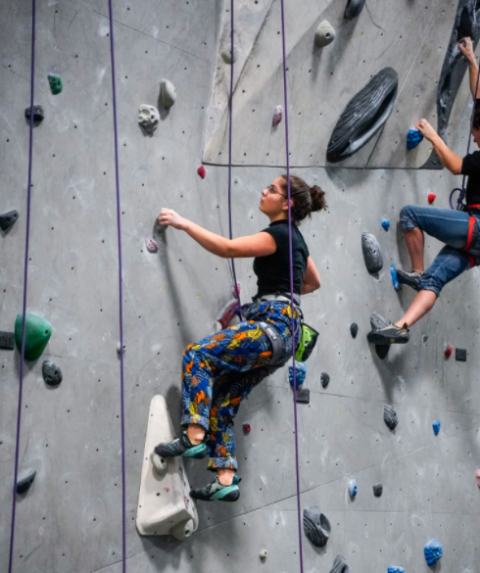 22 endroits où faire de l'escalade intérieure au Québec | Vifa Magazine