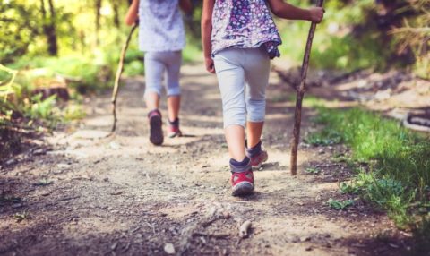 Randonnées pédestres familiales à essayer | Vifa Magazine